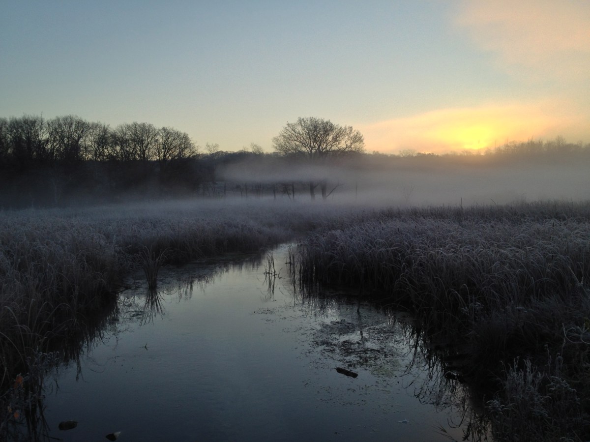 Maps, Brochures and History | Scuppernong Springs Nature Trail