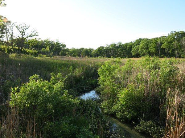 Scuppernong Springs Nature Trail | The Kettle Moraine's Most Beautiful ...